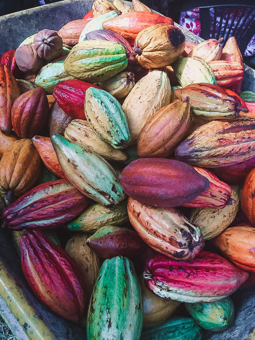 Why Smile Cacao? – Smile Cacao